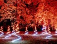 Light trail - windsorilluminated.com