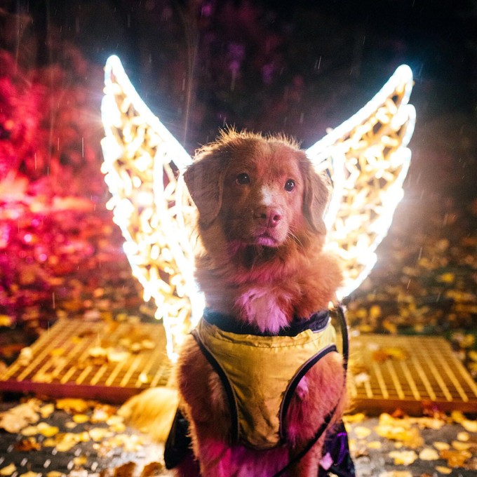 Getting here - windsorilluminated.com